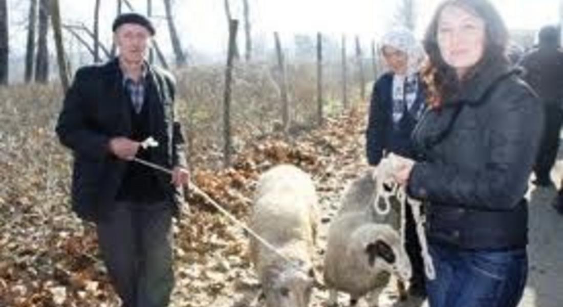 Новини Smolyannews